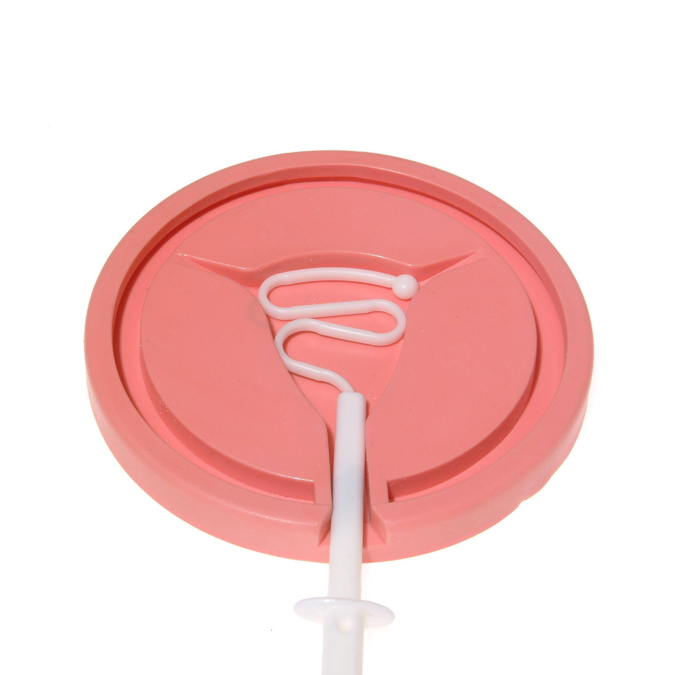 Museum of Contraception and Abortion