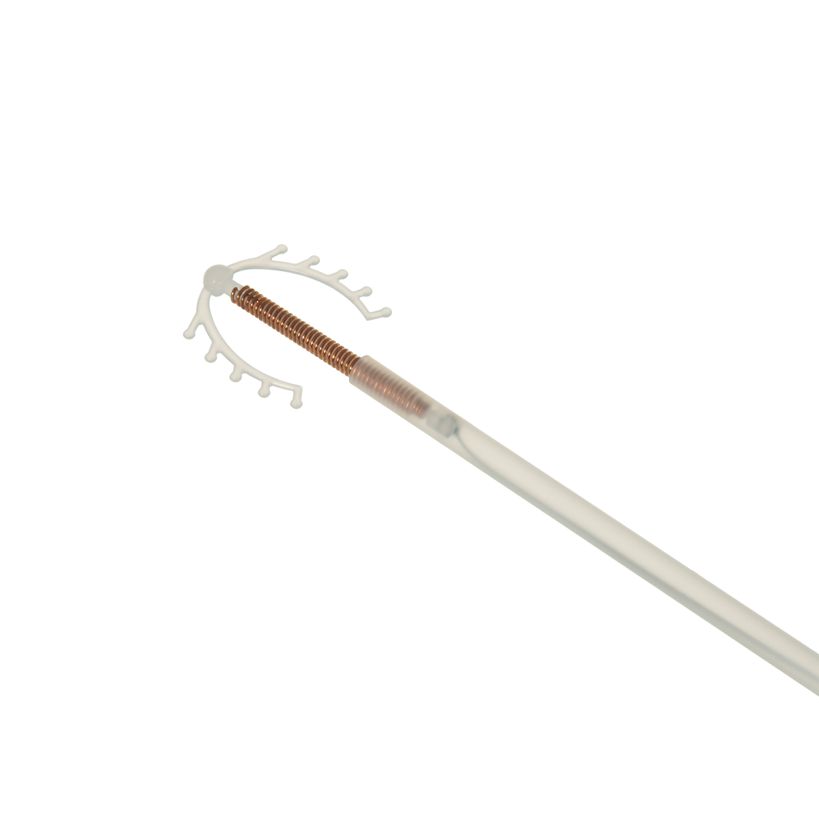 Museum of Contraception and Abortion