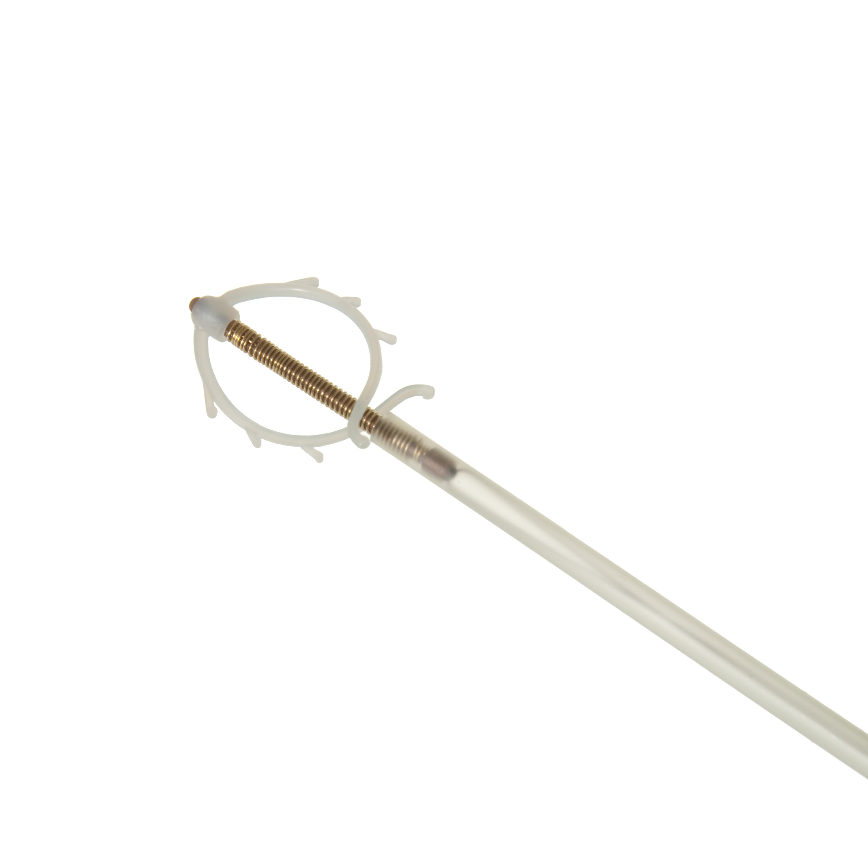 Museum für Verhütung und Schwangerschaftsabbruch