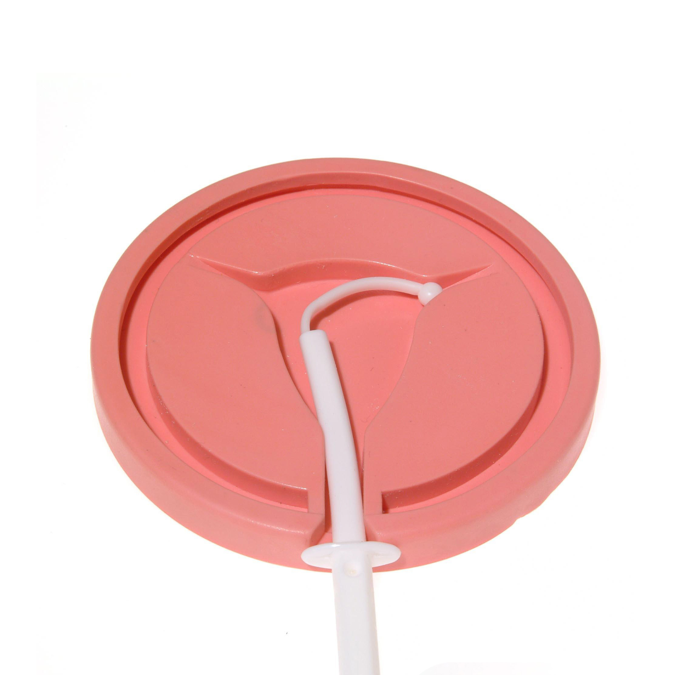 Museum of Contraception and Abortion