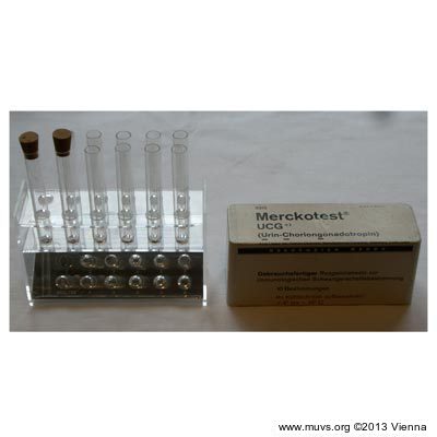 Museum of Contraception and Abortion