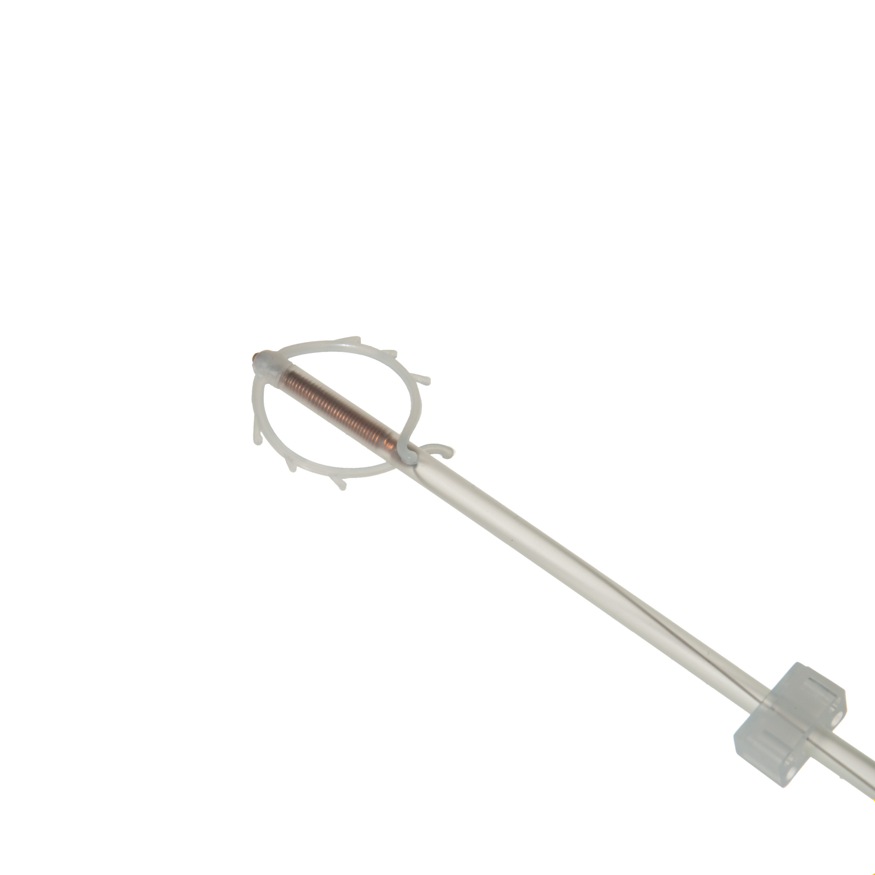 Museum of Contraception and Abortion