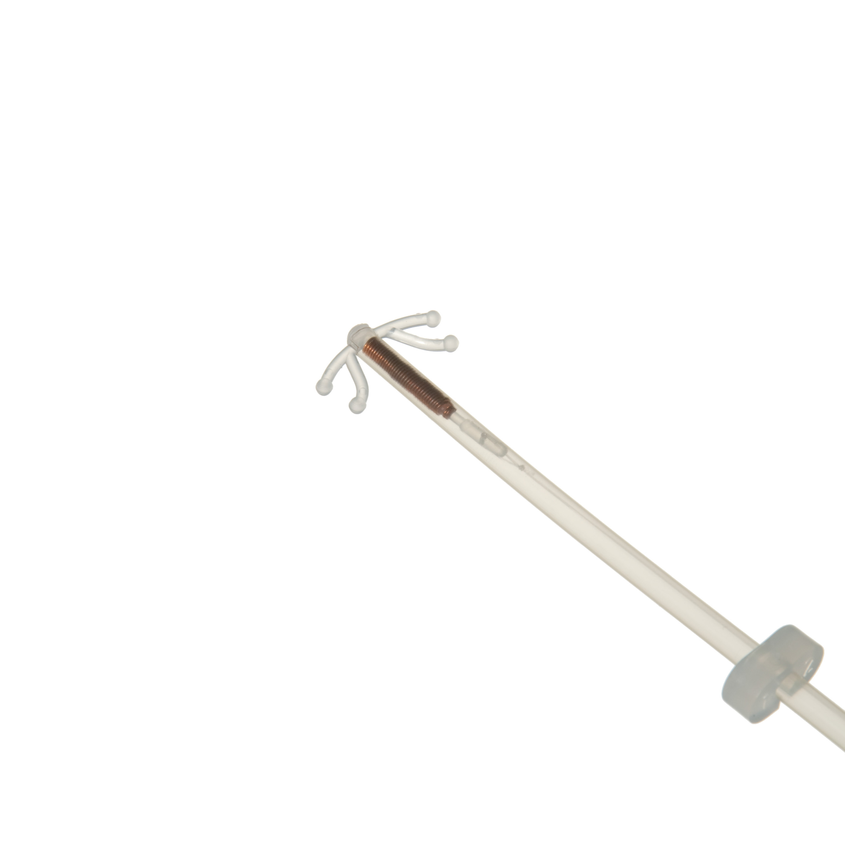 Museum of Contraception and Abortion