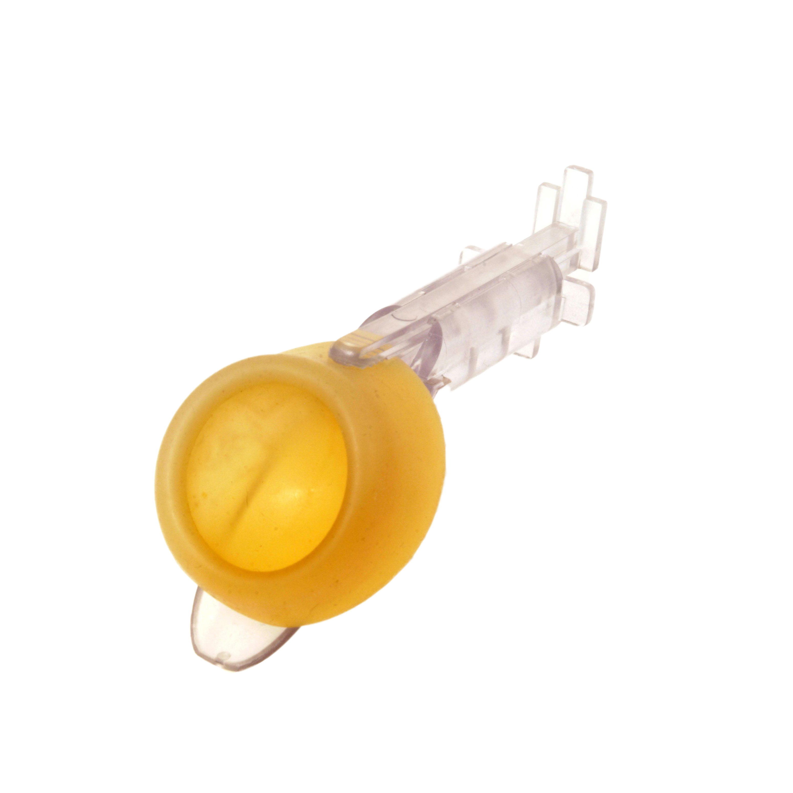 Museum of Contraception and Abortion